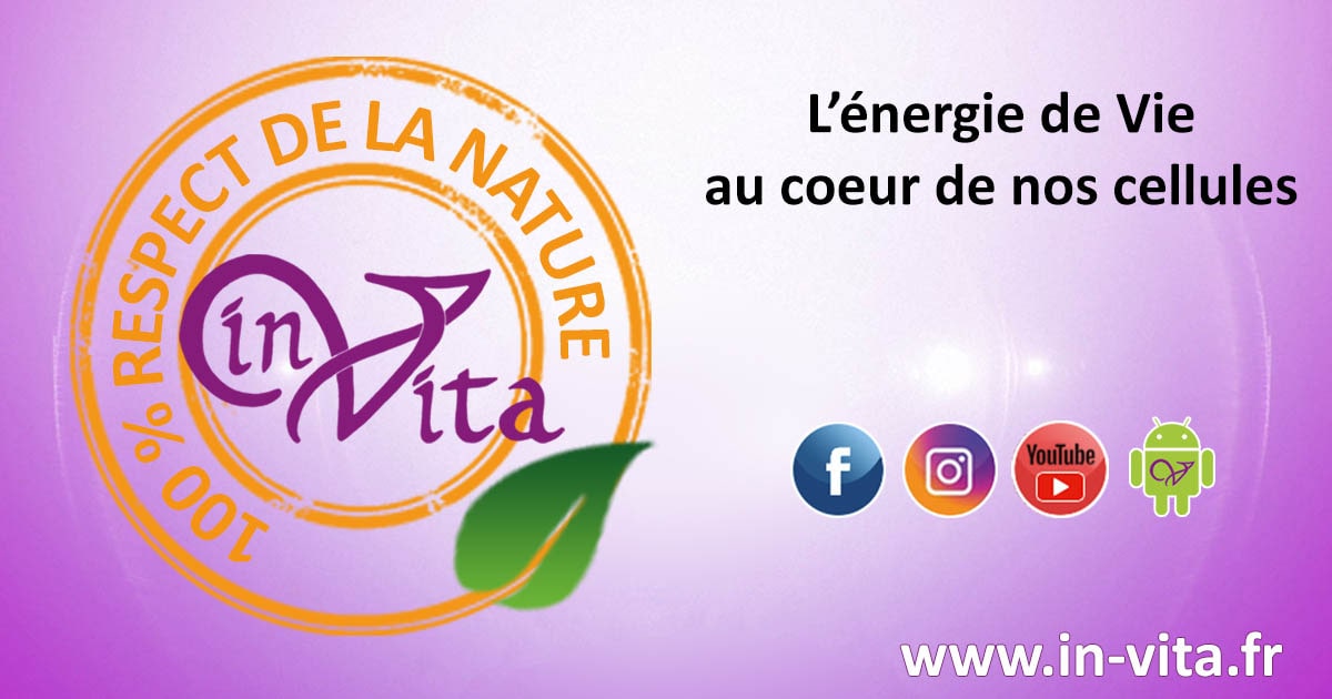 In Vita - une vie en santé | une voie d'évolution